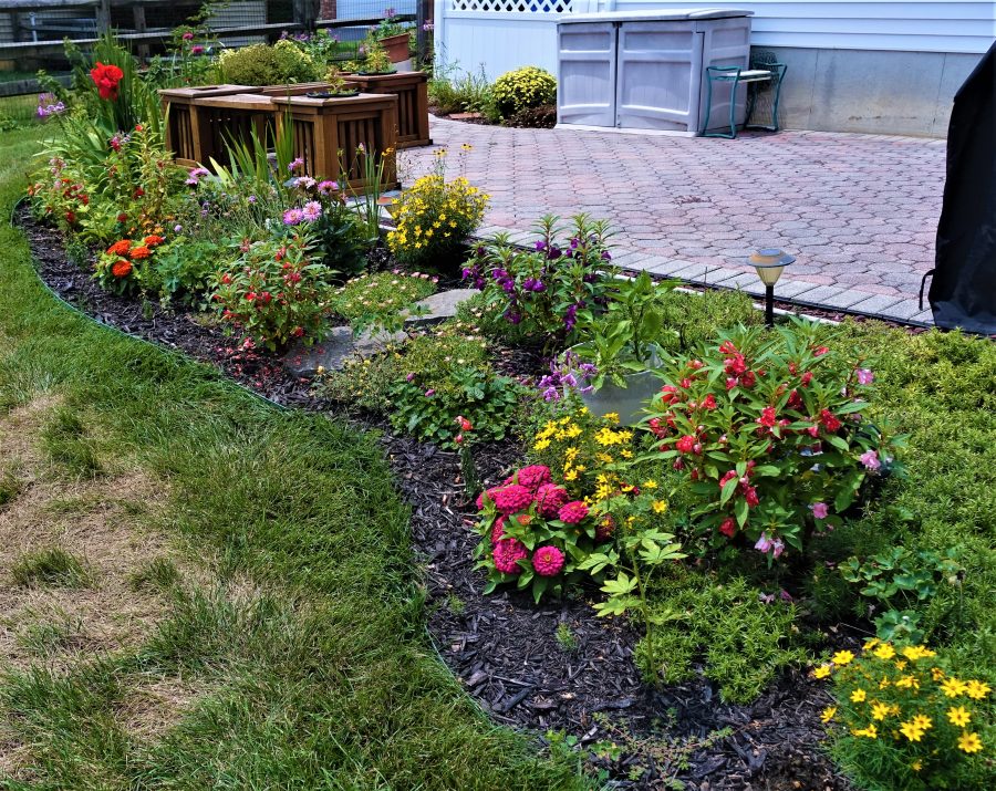 Pretty Flowers – A Nice Welcome Back